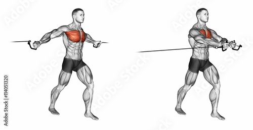 Upright Cable Pec Flys
