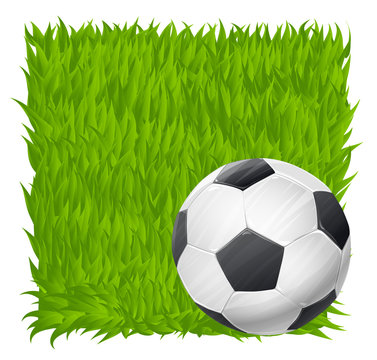 Soccer Ball In Grass Cartoon