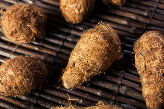 รูปภาพEddo – เลือกดูภาพถ่ายสต็อก เวกเตอร์ และวิดีโอ21,420 | Adobe Stock