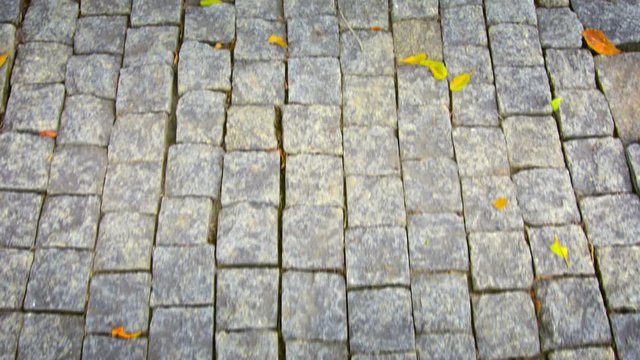 รูปภาพHandcut – เลือกดูภาพถ่ายสต็อก เวกเตอร์ และวิดีโอ181 | Adobe Stock