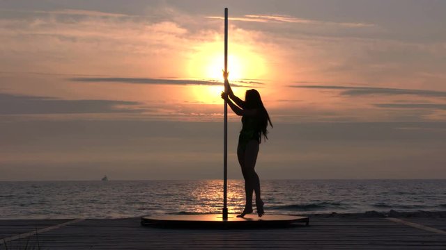 Poledancer Imagens Procure 1 579 Fotos Vetores E Vídeos Adobe Stock