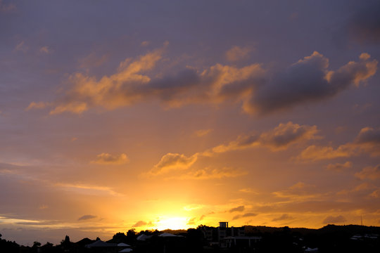 Coot-Tha 이미지 – 찾아보기 228 스톡 사진, 벡터 및 비디오 | Adobe Stock