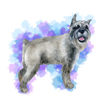 Snouter Images – Browse 35 Stock Photos, Vectors, and Video | Adobe Stock