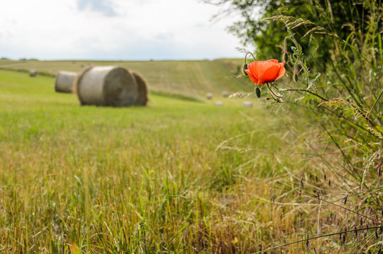 「Heurolle」の画像 - 192 件の Stock 写真、ベクターおよびビデオ | Adobe Stock
