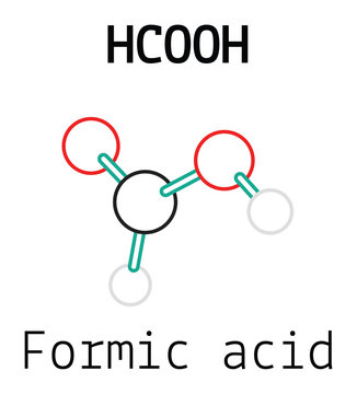 Lewis Structure Of Hcooh