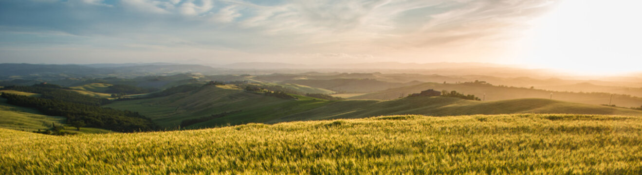 Weichweizen Bilder – Durchsuchen 41,400 Archivfotos, Vektorgrafiken und ...