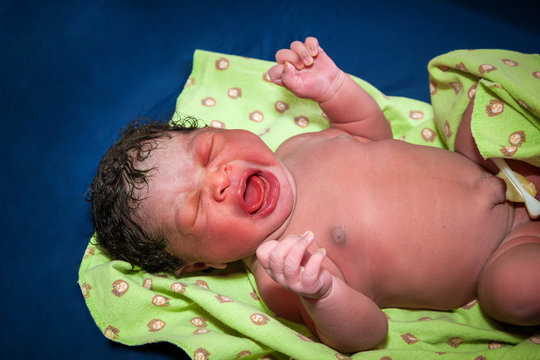 55 BEST Homebirth IMAGES, STOCK PHOTOS & VECTORS | Adobe Stock