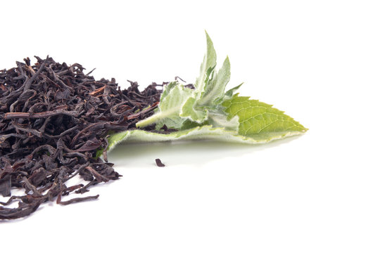 Mentholum Images – Browse 16 Stock Photos, Vectors, and Video | Adobe Stock