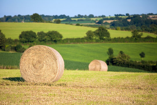 「Foin」の写真素材 | 8,534件の無料イラスト画像 | Adobe Stock
