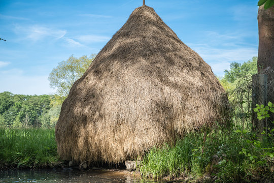 Dieme Images – Browse 66 Stock Photos, Vectors, and Video | Adobe Stock