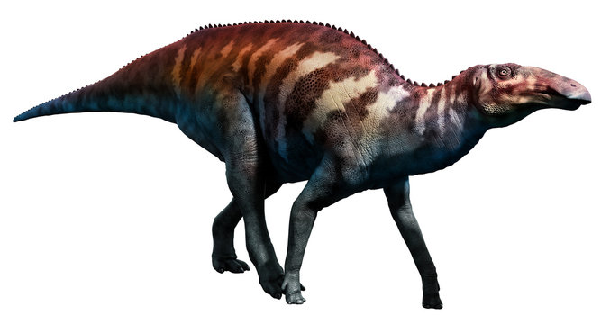 Hadrosaur Képek – Böngésszen 710 stockfotókat, vektorokat és videókat ...