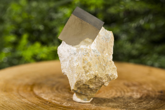 Pirit Images – Browse 148 Stock Photos, Vectors, and Video | Adobe Stock