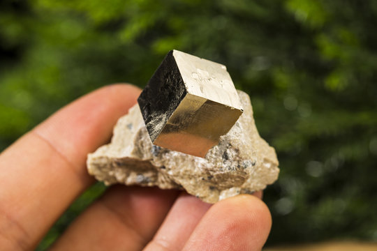 Pirit-Bilder: Stock-Fotos & -Videos. | Adobe Stock