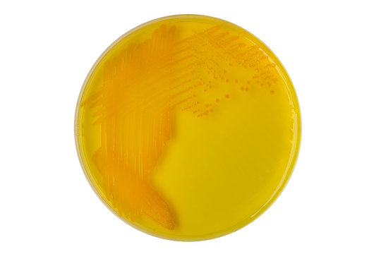 Tcbs Images – Browse 1 Stock Photos, Vectors, and Video | Adobe Stock