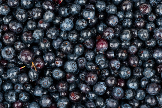 「Wimberry」の画像 - 141,389 件の Stock 写真、ベクターおよびビデオ | Adobe Stock