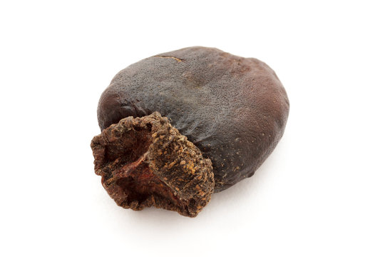 Bhilawa Images – Browse 5 Stock Photos, Vectors, and Video | Adobe Stock