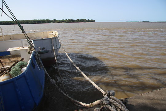 「Crevettier」の画像 - 83 件の Stock 写真、ベクターおよびビデオ | Adobe Stock