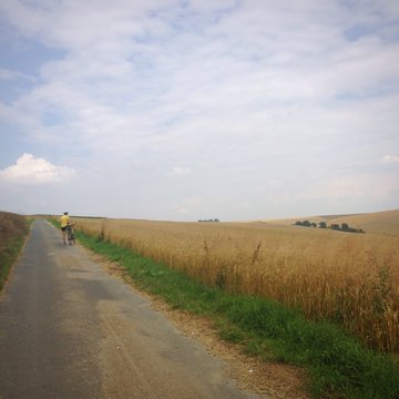 Cond Images – Browse 1,328 Stock Photos, Vectors, and Video | Adobe Stock