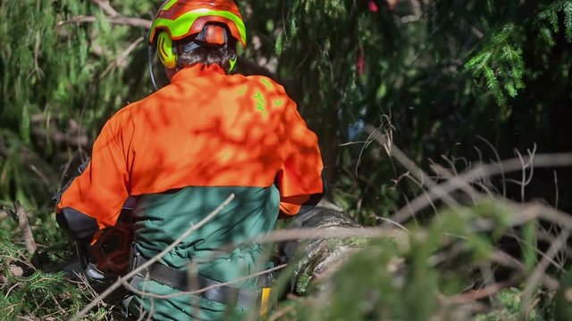 Loggers Images – Browse 394,301 Stock Photos, Vectors, and Video ...