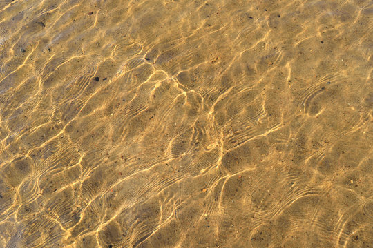 River Bottom Texture