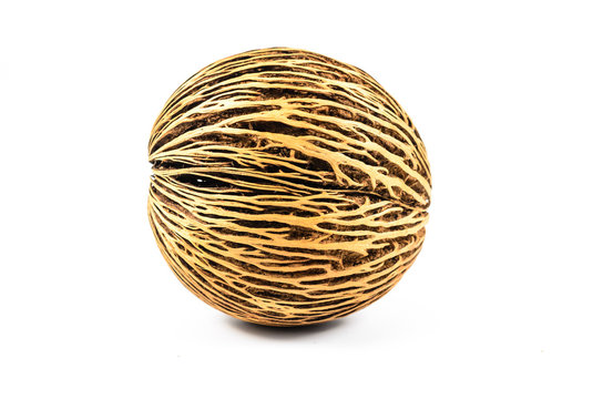 Tangena Images – Browse 158 Stock Photos, Vectors, and Video | Adobe Stock