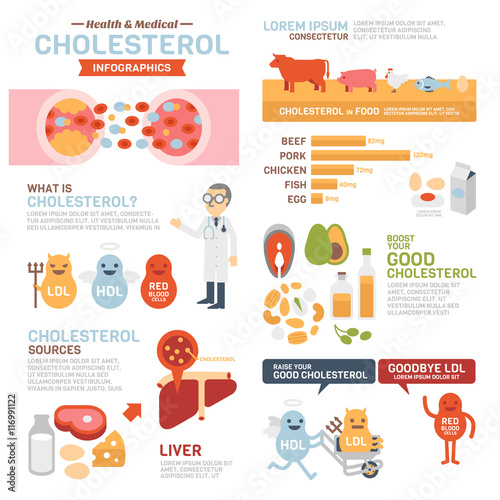 "Cholesterol Infographics" Stock image and royalty-free vector files on ...