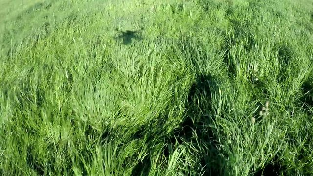 "Drone Shadow" Images – Browse 89 Stock Photos, Vectors, and Video ...