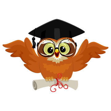 Owl Graduation Clipart