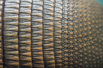 Buscar fotos: armadillo