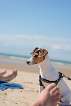 Choit Images – Browse 6 Stock Photos, Vectors, and Video | Adobe Stock