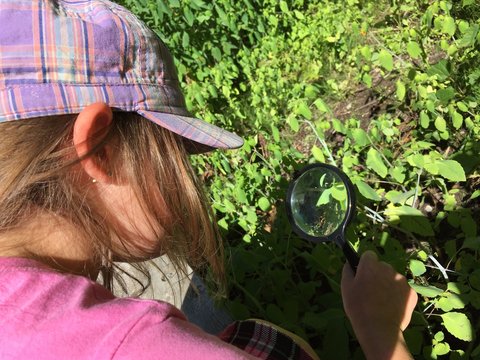 Scruter-Bilder: Stock-Fotos & -Videos. | Adobe Stock