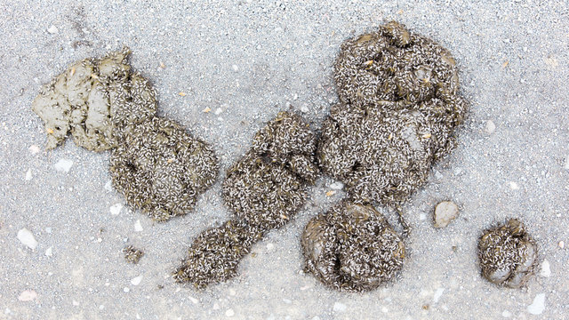 รูปภาพCrappy – เลือกดูภาพถ่ายสต็อก เวกเตอร์ และวิดีโอ1,635 | Adobe Stock