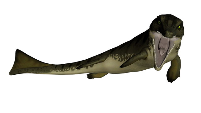 「Metriorhynchus」の画像 - 23 件の Stock 写真、ベクターおよびビデオ | Adobe Stock