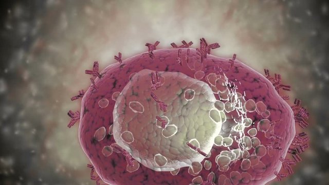 Mastocyte Images – Parcourir 363 le catalogue de photos, vecteurs et ...