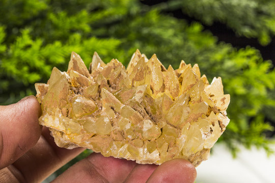 Kalsit Images – Browse 62 Stock Photos, Vectors, and Video | Adobe Stock