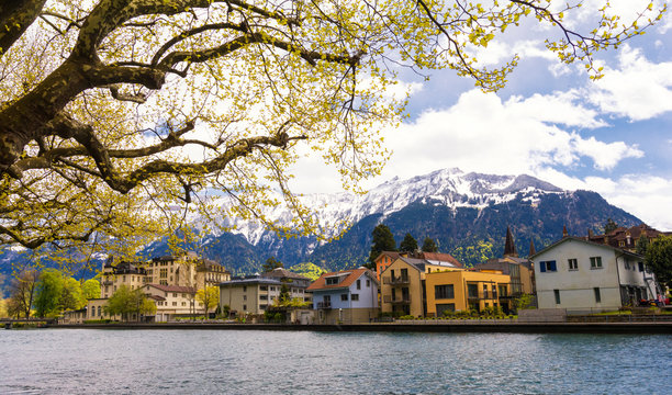 รูปภาพInterlaken – เลือกดูภาพถ่ายสต็อก เวกเตอร์ และวิดีโอ22,066 | Adobe ...