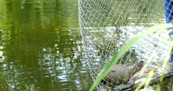 Fishing-Crib Images – Browse 38 Stock Photos, Vectors, and Video ...