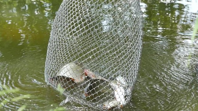 Fishing-Crib Images – Browse 38 Stock Photos, Vectors, and Video ...