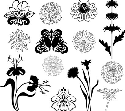 Chicory Icon Bilder – Durchsuchen 519 Archivfotos, Vektorgrafiken und ...