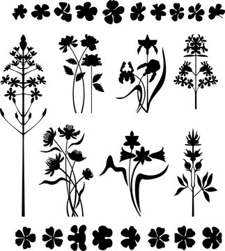 Chicory Icon Bilder – Durchsuchen 519 Archivfotos, Vektorgrafiken und ...