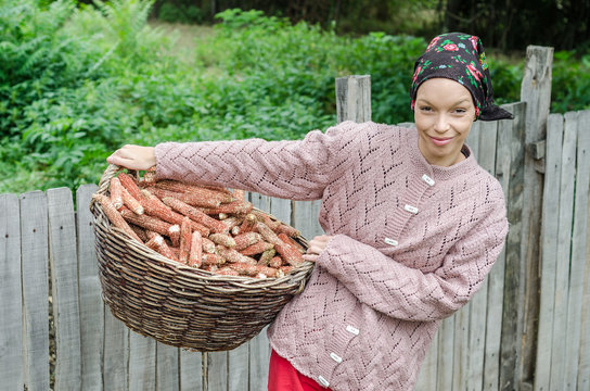 Farmi Images – Browse 56 Stock Photos, Vectors, and Video | Adobe Stock