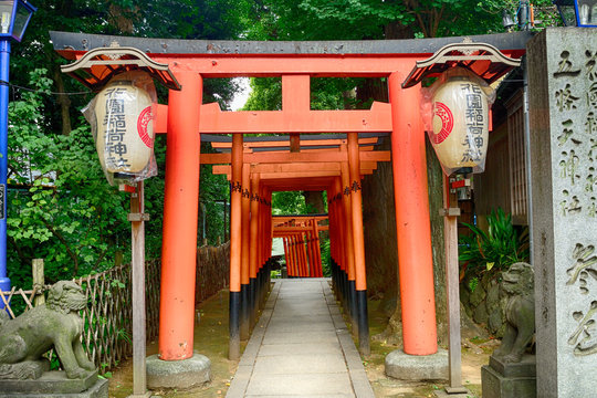 รูปภาพGojo – เลือกดูภาพถ่ายสต็อก เวกเตอร์ และวิดีโอ146 | Adobe Stock