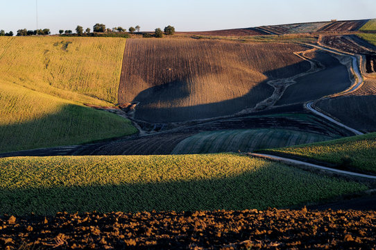 Ururi Bilder – Durchsuchen 29 Archivfotos, Vektorgrafiken und Videos ...