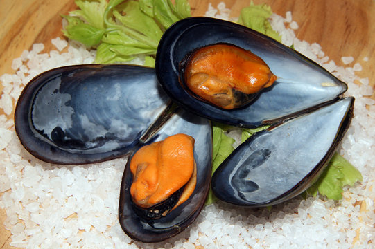 รูปภาพHervidos – เลือกดูภาพถ่ายสต็อก เวกเตอร์ และวิดีโอ154 | Adobe Stock