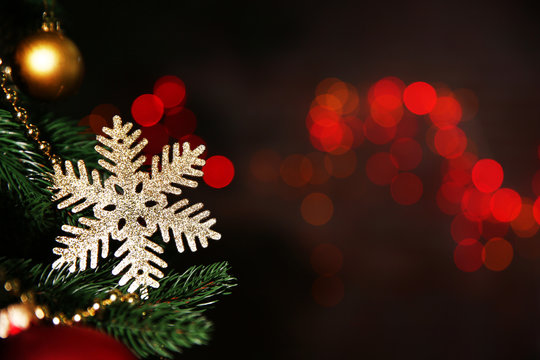 Free Holiday Images – Browse 80,750 Free Stock Photos, Vectors, and ...