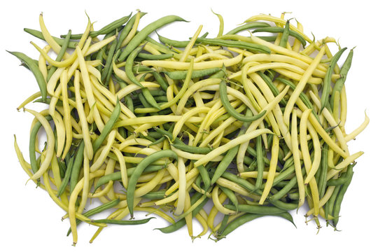 Haricot Images – Browse 44,611 Stock Photos, Vectors, and Video | Adobe ...