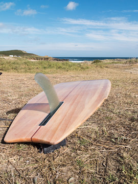 "Single Fin" Images – Browse 239 Stock Photos, Vectors, and Video ...