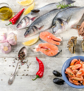 Free Fish Images – Browse 12,533 Free Stock Photos, Vectors, and Video ...