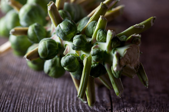 Strunk-Bilder: Stock-Fotos & -Videos. | Adobe Stock