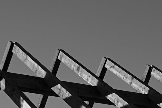 Intersting Images – Browse 365 Stock Photos, Vectors, and Video | Adobe ...